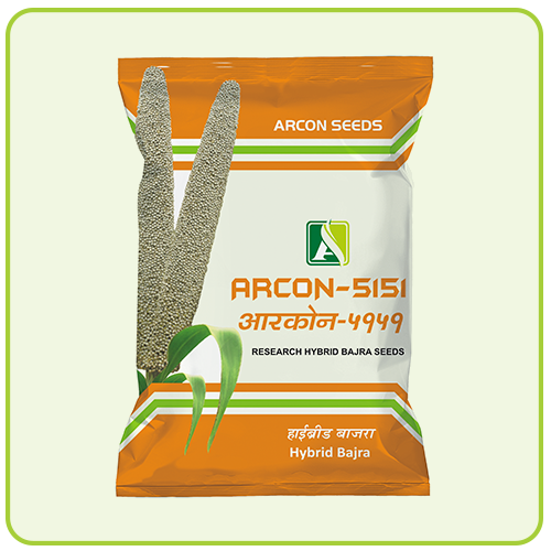 HYBRID BAJRA SEEDS - Arcon